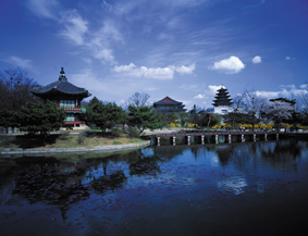 Seoul City Tour | DMZ Tour | South Korea Package