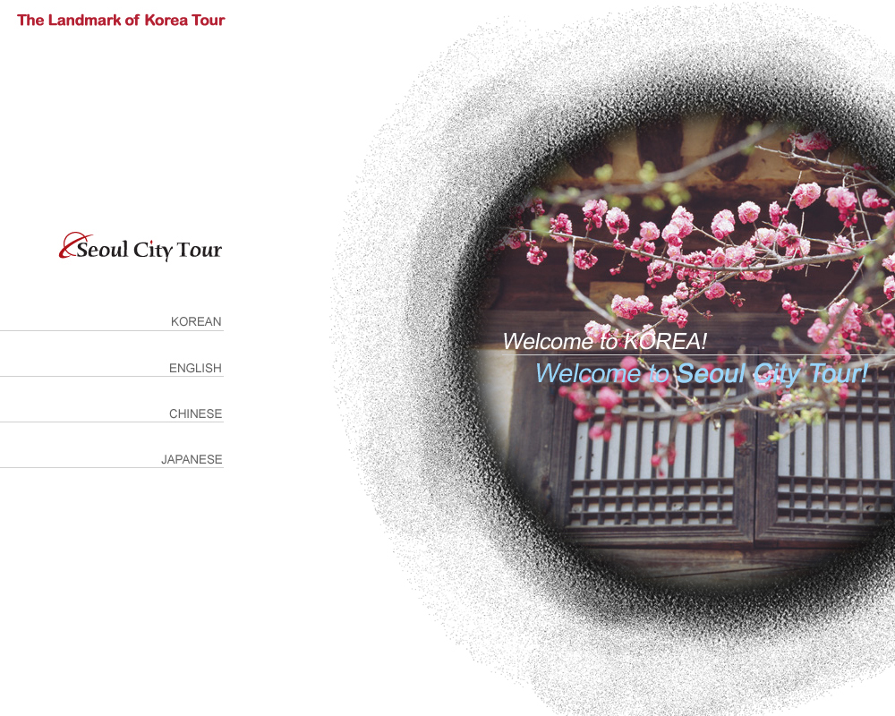 Seoul City Tour | DMZ Tour | Korea Day Tour | South Korea Package Tour ...